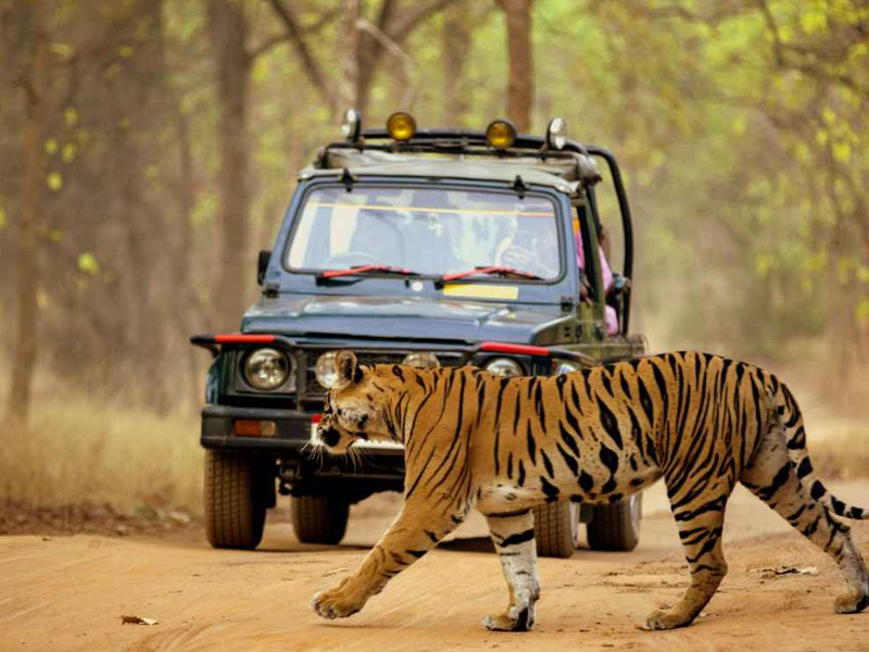 Ecosystem Archives - Clean Mobility Shift